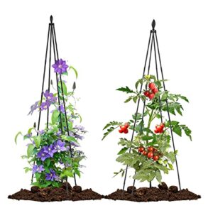 lalahoni 2 pack garden trellis for climbing plants outdoor indoor pot | 67inch tall plants trellis support for climbing vines vegetables plants | garden obelisk trellis, lightweight, black