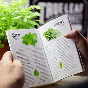 Culinary Herb Seeds Variety Pack - Outdoor & Indoor Herb Garden Kit - 10 Non-GMO Herb Garden Seeds for Planting & Book - Basil Seeds, Dill Seeds, Rosemary Seeds, Thyme Seeds, & More