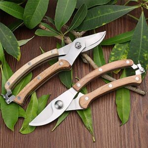 BUGUI Bypass Garden Pruning Shears - Premium SK-5 Steel Blade, Professional Garden Shears, Sharp Garden Scissors for Cutting Live Flowers, Trimming Plants, Light Branches, 8"