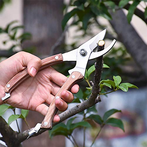 BUGUI Bypass Garden Pruning Shears - Premium SK-5 Steel Blade, Professional Garden Shears, Sharp Garden Scissors for Cutting Live Flowers, Trimming Plants, Light Branches, 8"