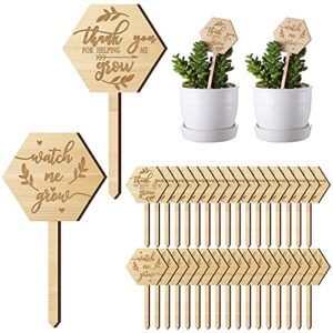 watch me grow succulent tags baby shower thank you for helping me grow plant markers hexagon plant stakes labels wooden succulent tag for seed flowers garden potted plants (36 pieces)