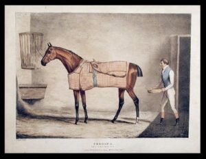 life of the race horse: watering [no. 5]; sweating [no. 7]; rubbing, after a sweat [no. 8]; feeding [no. 9]