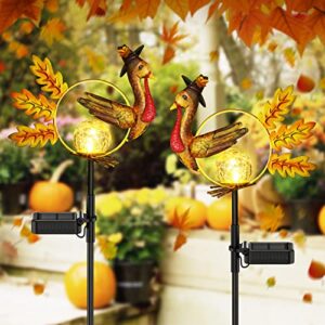 thanksgiving decorations outdoor, 2 pack ahaorigin solar turkey fall decorations, 36″ solar powered metal turkey garden stakes lights, auto on/off waterproof thanksgiving yard pathway outdoor decor