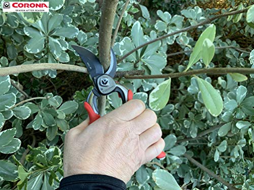 Corona BP 7200 Forged Pro Cut Bypass Hand Pruner, 1-Inch, Red