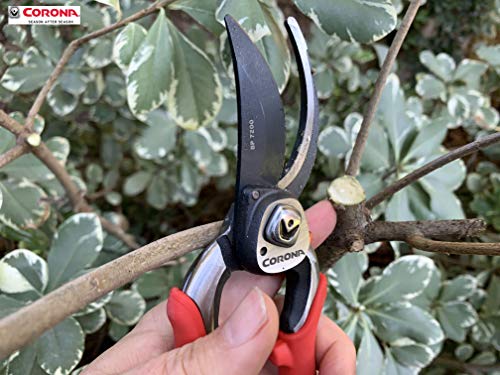 Corona BP 7200 Forged Pro Cut Bypass Hand Pruner, 1-Inch, Red