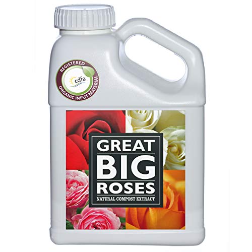 Great Big Roses - Compost Extract; 1 Gallon Concentrate (Makes 32 Gallons)