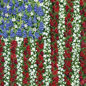 Toland Home Garden 109592 Field Of Glory Patriotic Flag 28x40 Inch Double Sided Patriotic Garden Flag for Outdoor House Flower Flag Yard Decoration