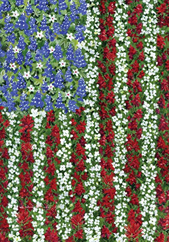 Toland Home Garden 109592 Field Of Glory Patriotic Flag 28x40 Inch Double Sided Patriotic Garden Flag for Outdoor House Flower Flag Yard Decoration