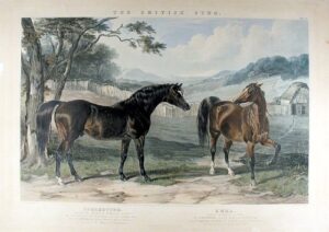 touchstone bred by the marquis of westminster, in 1831. emma. bred by mr. russell, in 1824.