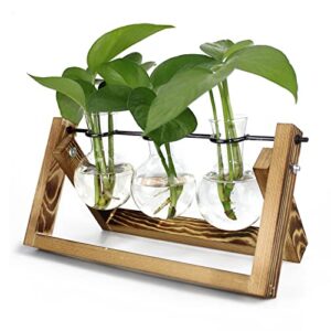 plant propagation station,plant terrarium with wooden stand desktop air propogation planters glass vase for indoor hydroponics water plants home garden office decoration