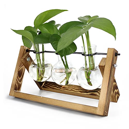 Plant Propagation Station,Plant Terrarium with Wooden Stand Desktop Air Propogation Planters Glass Vase for Indoor Hydroponics Water Plants Home Garden Office Decoration