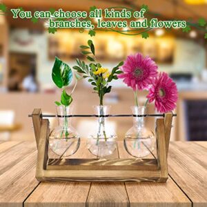 Plant Propagation Station,Plant Terrarium with Wooden Stand Desktop Air Propogation Planters Glass Vase for Indoor Hydroponics Water Plants Home Garden Office Decoration