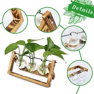 Plant Propagation Station,Plant Terrarium with Wooden Stand Desktop Air Propogation Planters Glass Vase for Indoor Hydroponics Water Plants Home Garden Office Decoration