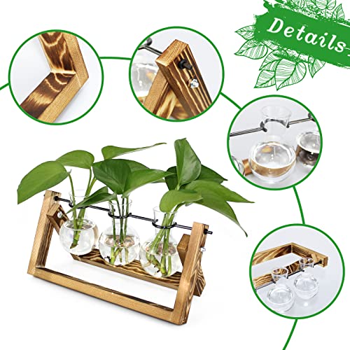 Plant Propagation Station,Plant Terrarium with Wooden Stand Desktop Air Propogation Planters Glass Vase for Indoor Hydroponics Water Plants Home Garden Office Decoration