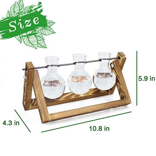 Plant Propagation Station,Plant Terrarium with Wooden Stand Desktop Air Propogation Planters Glass Vase for Indoor Hydroponics Water Plants Home Garden Office Decoration