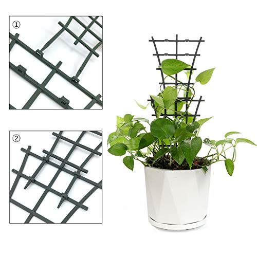 Feitore Plant Trellis Indoor, 6Pcs Stackable Plant Trellis for Climbing Plants Indoor, Small Plant Climbing Trellis for Potted Plants Plastic Climbing Plant Support Trellis for Houseplant Hoya Pothos