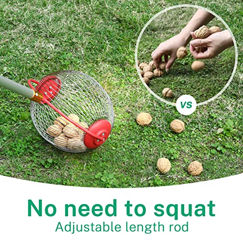 Cooltop Medium Nut Gatherer, Nut Picker Rolling Acorn Picker Upper,Adjustable Lightweight Outdoor Manual Tools,Collect Walnuts,Acorns,Hickory Nuts,Golf with 1Gallon(Medium)