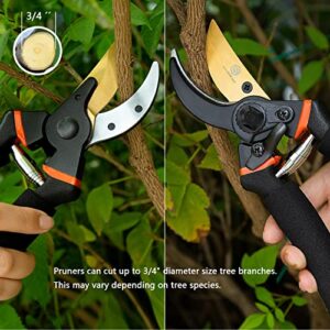 LF Likefair 8.5" Pruning Shears,Garden Shears, Garden Scissors,Professional Bypass Pruner Hand Shears, Tree Trimmers Secateurs, Hedge & Garden Shears, Clippers for Plants, Gardening, Garden Tools