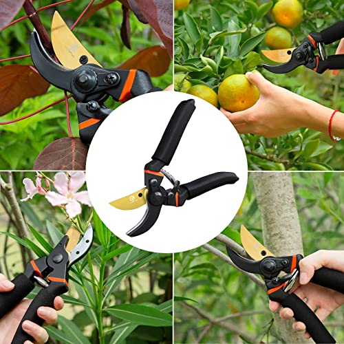 LF Likefair 8.5" Pruning Shears,Garden Shears, Garden Scissors,Professional Bypass Pruner Hand Shears, Tree Trimmers Secateurs, Hedge & Garden Shears, Clippers for Plants, Gardening, Garden Tools