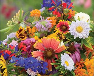 david’s garden seeds wildflower butterfly hummingbird mix fba-0003 (multi) 200 non-gmo, heirloom seeds