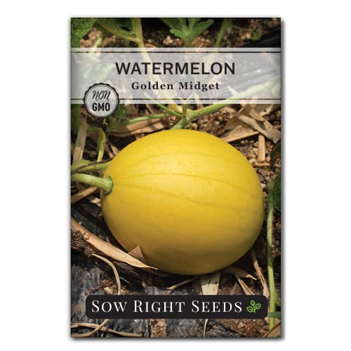 Sow Right Seeds - Watermelon Seed Collection for Planting - Crimson Sweet, Allsweet, Sugar Baby, Tendersweet, and Golden Midget Melon Seeds - Non-GMO Heirloom Seeds to Plant a Home Vegetable Garden