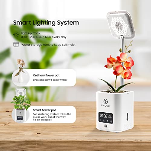 RayGalax Smart Planter for Indoor Plants, 20cm by 20cm Self Watering Pots Indoor Garden Grow Light with LED Table Desk Lamp Clock Humidifier Automatic Hydroponics Kit Planters for Herb, Small Plants