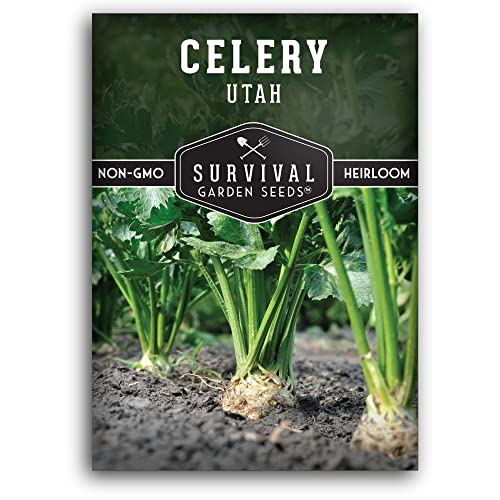 Survival Garden Seeds - Utah Celery Seed for Planting - Packet with Instructions to Plant and Grow Delicious Celery Plants in Your Home Vegetable Garden - Tender and Crisp Non-GMO Heirloom Variety