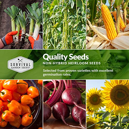 Survival Garden Seeds Homesteader Seed Vault - Vegetable Herb & Flower Seed Bank - 50 Heirloom Non-GMO Varieties for Planting & Growing Victory Gardens - Survival Food Emergency Preparedness Gear Kit