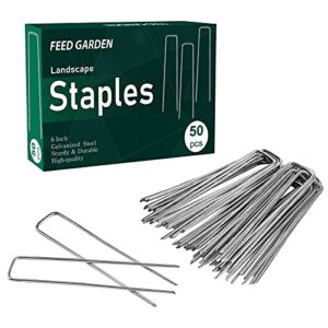 feed garden galvanized landscape staples 6 inch 50 pack 11 gauge anti-rust garden stakes landscaping fabric sod pins yard stakes for weed barrier fabric