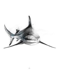 shark 2