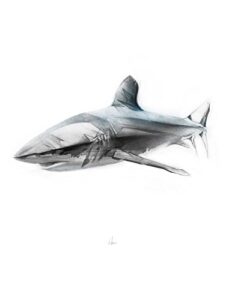 shark 1