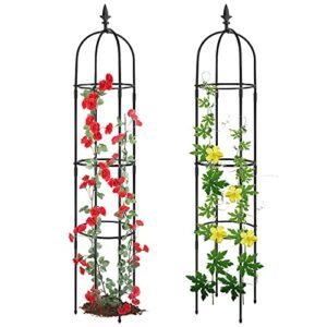 garden obelisk trellis for climbing plants, rustproof plastic coated metal plant support, garden tower trellis indoor potted plant, tomato plant cage for support rose, vegetable vines(2 pack)