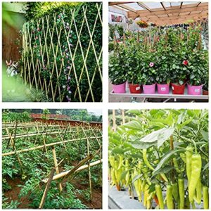 Cambaverd 25 Pcs Bamboo Garden Stakes 4 Feet Eco-Friendly Bamboo Plant Stakes, for Roma Tomatoes Sunflowers Pole Beans Trees Potted Dahlia Flowers and Climbing Plants - Pack of 25 Bamboo Sticks