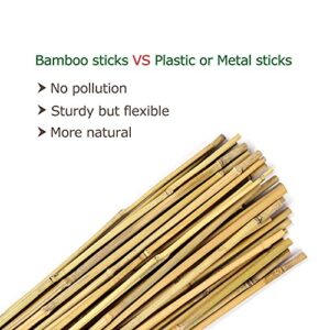 Cambaverd 25 Pcs Bamboo Garden Stakes 4 Feet Eco-Friendly Bamboo Plant Stakes, for Roma Tomatoes Sunflowers Pole Beans Trees Potted Dahlia Flowers and Climbing Plants - Pack of 25 Bamboo Sticks