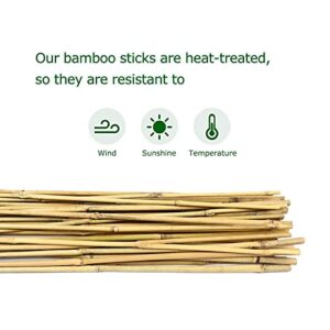 Cambaverd 25 Pcs Bamboo Garden Stakes 4 Feet Eco-Friendly Bamboo Plant Stakes, for Roma Tomatoes Sunflowers Pole Beans Trees Potted Dahlia Flowers and Climbing Plants - Pack of 25 Bamboo Sticks