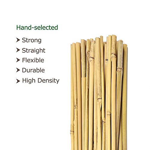 Cambaverd 25 Pcs Bamboo Garden Stakes 4 Feet Eco-Friendly Bamboo Plant Stakes, for Roma Tomatoes Sunflowers Pole Beans Trees Potted Dahlia Flowers and Climbing Plants - Pack of 25 Bamboo Sticks