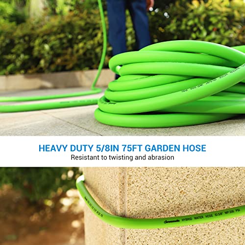 DEWENWILS Garden Hose 75 ft x 5/8", Water Hose with SwivelGrip, Heavy Duty, Lightweight, Flexible Hose for Plants, Car, Yard, 3/4 Inch Solid Fittings, Drinking Water Safe