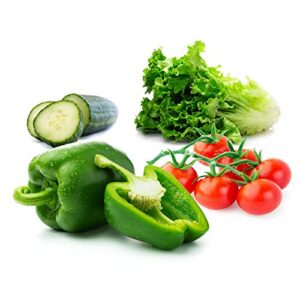 vegetable seeds for planting vegetables – variety salad pack – romaine lettuce – cherry tomato – cucumber – bell pepper!