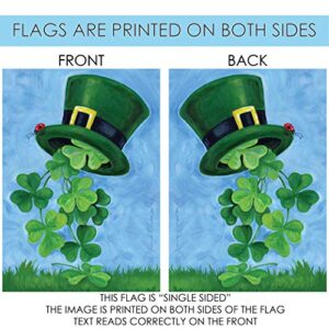 Toland Home Garden 111162 Shamrock Shower St Patricks Day Flag 12x18 Inch Double Sided St Patricks Day Garden Flag for Outdoor House St Pats Flag Yard Decoration