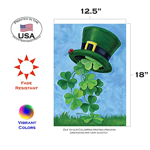 Toland Home Garden 111162 Shamrock Shower St Patricks Day Flag 12x18 Inch Double Sided St Patricks Day Garden Flag for Outdoor House St Pats Flag Yard Decoration