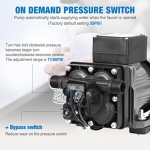 DC HOUSE 42-Series Brushless Motor Water Transfer Pump 110V 5.5GPM 55PSI, RV Water Pump 110 Volt Support Continuous Operation include 3/4" Garden Hose Adapters for Kitchen Bathroom RV Yacht