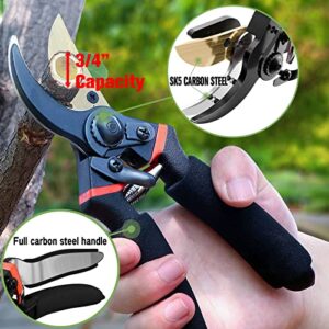 Pruning Shears for Gardening 2 Pack, Heavy Duty Professional Bypass Pruning Shears and Micro-tip Garden Scissors with Sharp Stainless Steel Blade, Garden Clippers for Rose, Plant, Tree, Garden Fifts