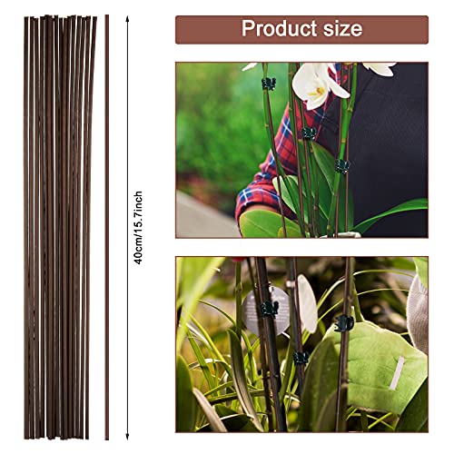 Mudder 10 Pieces Metal Plant Stakes with 50 Pieces Orchid Clips Plastic Garden Plant Clips, 200 Pieces Twist Flexible Garden Plant Ties for Supporting Stems Vines Stalks Grow Upright (Dark Coffee)