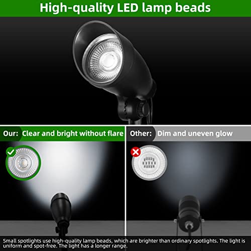 CONERIFE Low Voltage Led Landscape Lights, Outdoor Landscape Lighting with Warm White IP65 Waterproof, Low Voltage Landscape Lights for Garden Yard Driveway Walls Trees Flags.