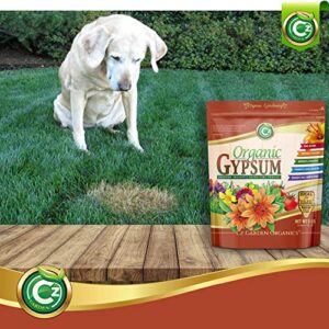 Organic Gypsum - Made in USA - Calcium Sulfate Dihydrate Powder - Garden Soil Amendment Fertilizer for Lawns, Plants, Mushroom Cultivation. Calcium & Sulfur Additive. Cures Blossom End Rot in Tomatoes