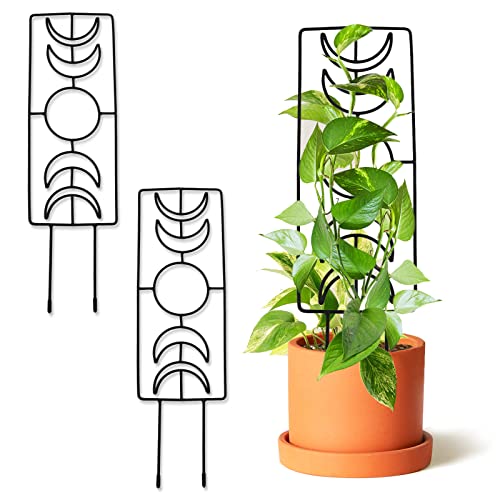 Moon Phase Plant Trellis Indoor Houseplant Trellis for Climbing Plant 17.2" Small Garden Trellis Potted Plant Metal Wire Trellis Set of 2