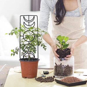 Moon Phase Plant Trellis Indoor Houseplant Trellis for Climbing Plant 17.2" Small Garden Trellis Potted Plant Metal Wire Trellis Set of 2