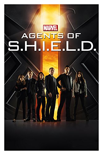 Agents of Shield movie poster 11 inch x 17 inch LITHOGRAPH