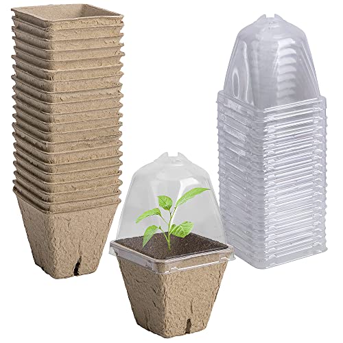 PURPLE STAR 1N 20 PCS Seeding Starter Peat Pots with Humidity Dome-2.3 Inch Square Biodegradable Plant Nursery Pots-Eco-Friendly Seedling Planting Pot for Garden Vegetable Flower Germination