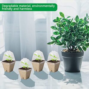 PURPLE STAR 1N 20 PCS Seeding Starter Peat Pots with Humidity Dome-2.3 Inch Square Biodegradable Plant Nursery Pots-Eco-Friendly Seedling Planting Pot for Garden Vegetable Flower Germination